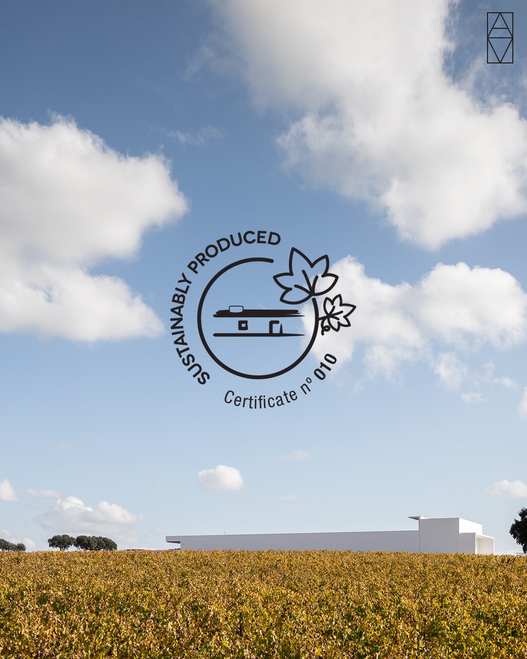 ADEGA MAYOR CONQUISTA CERTIFICAÇÃO DE PRODUÇÃO SUSTENTÁVEL - Tudobem ...