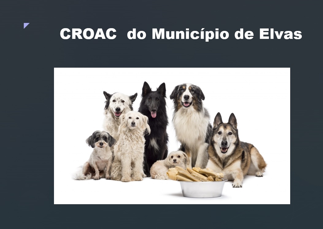 Elvas: Vereadora Tânia Rico vota contra requalificação do "CROAC ...